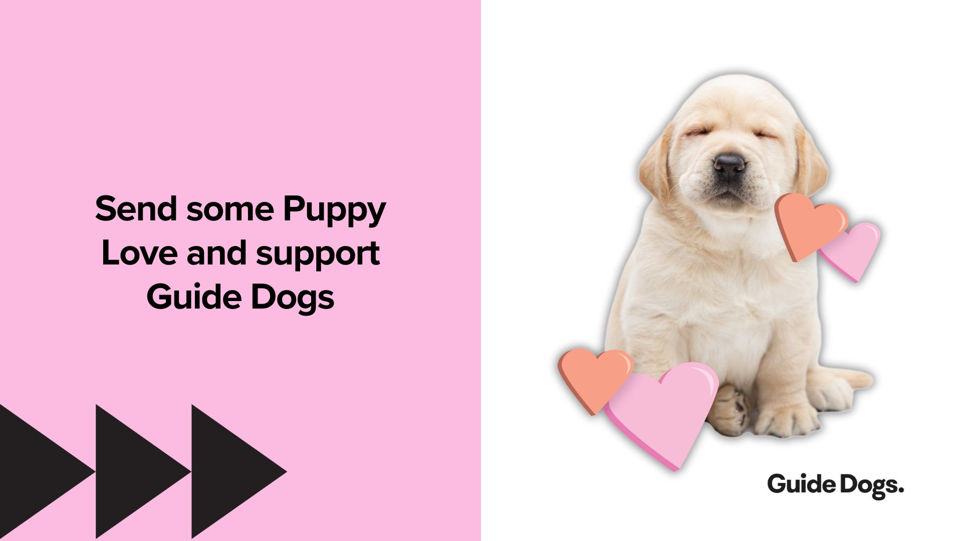 Send some Puppy Love | Home