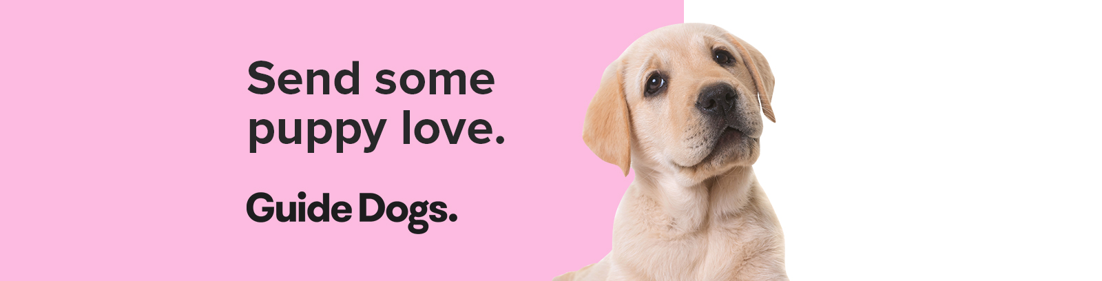 Send some Puppy Love | Home