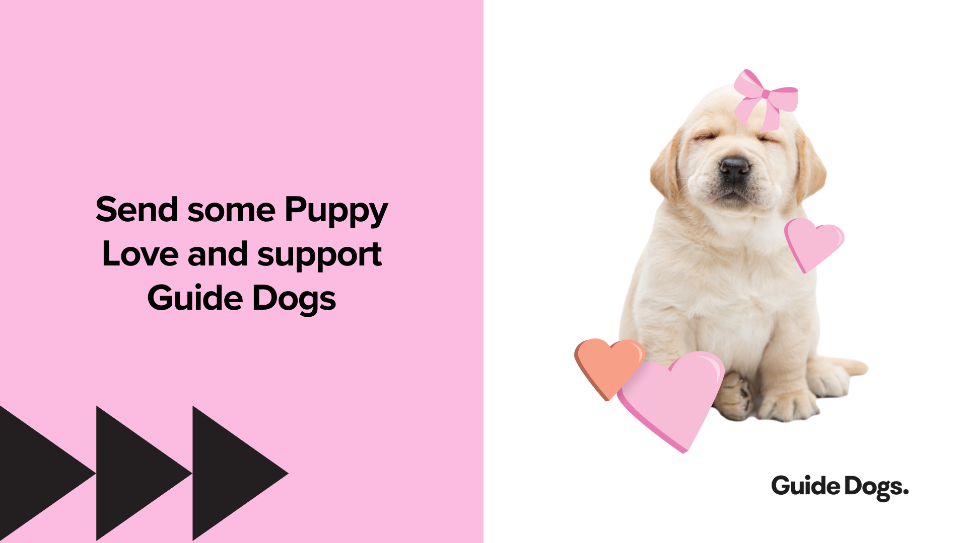 Send some Puppy Love | Home