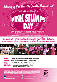 McGrath Foundation Pink Stumps Day 2013 | Allsorts Cricket Club Pink ...