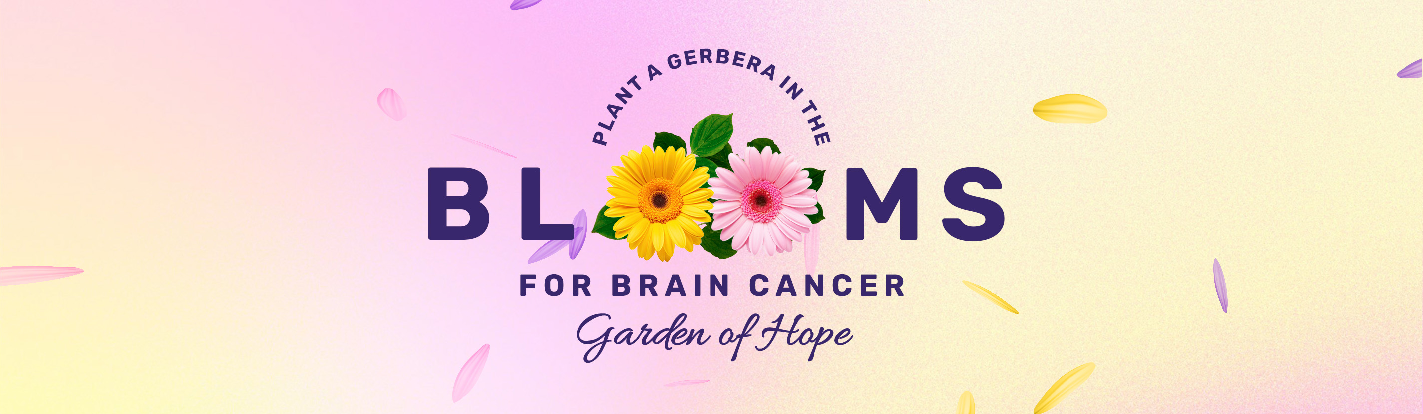 Blooms For Brain Cancer | Home