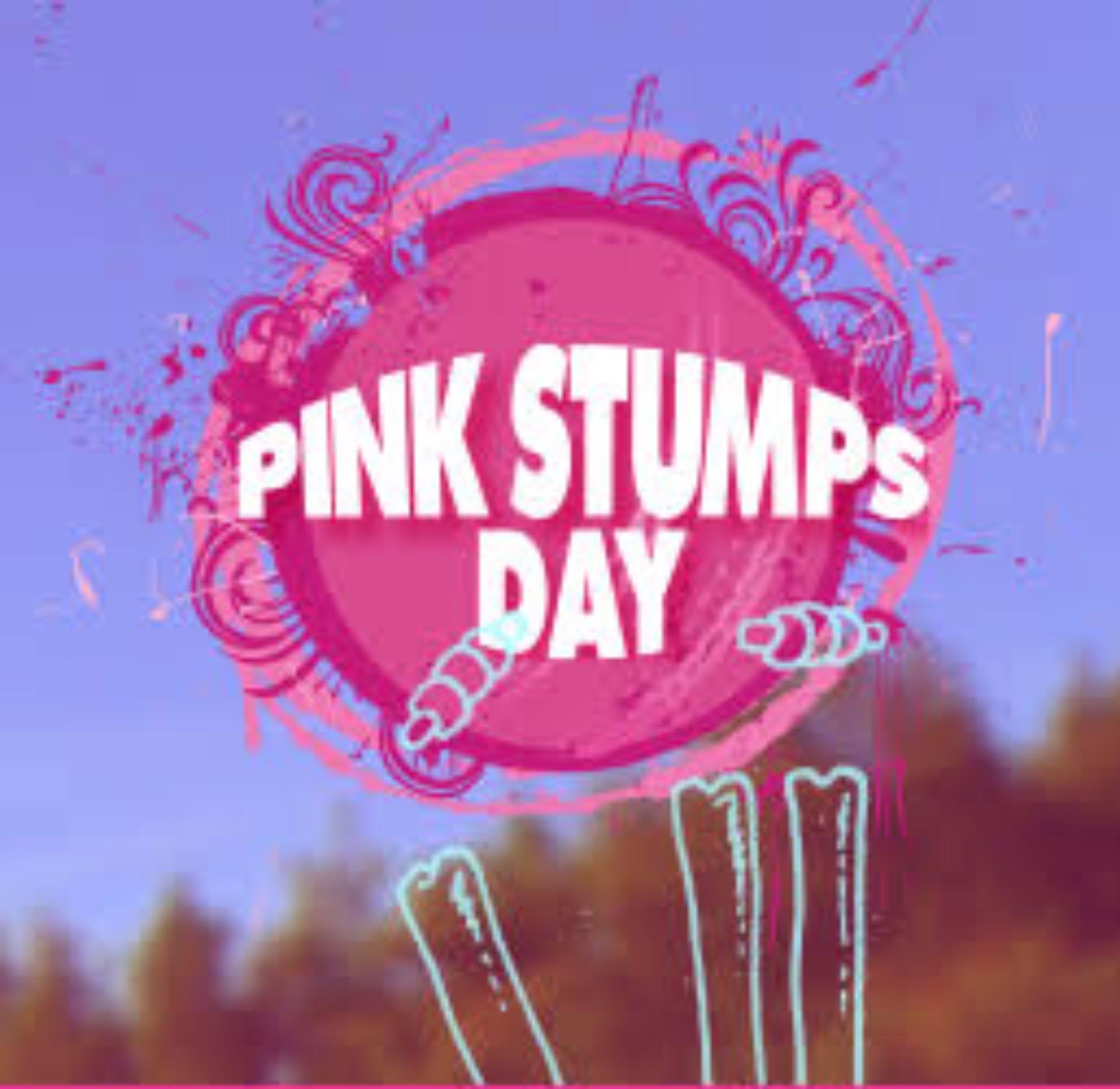 Pink Stumps Day 2018 | Bingara Gorge Residents Pink Stump Day