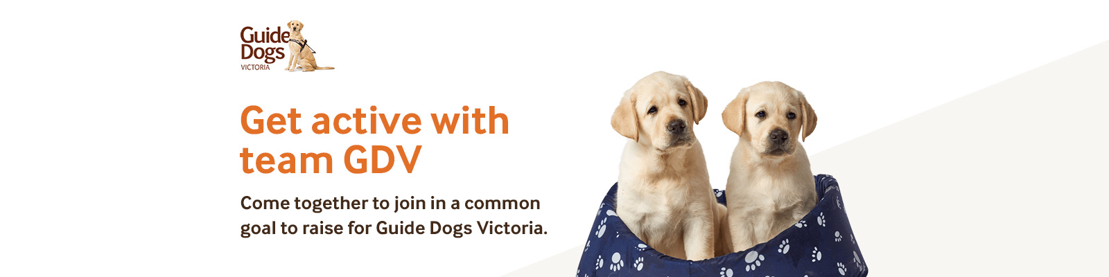 Guide Dogs Victoria - Team GDV | Guide Dogs Victoria - Team GDV