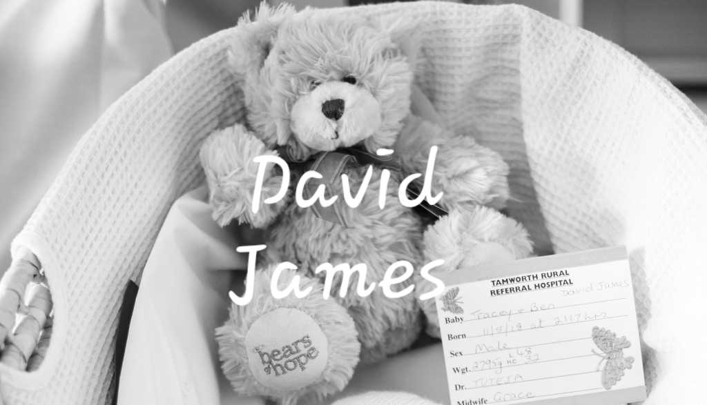 Bears Of Hope - In Memory | Bears of Hope for David