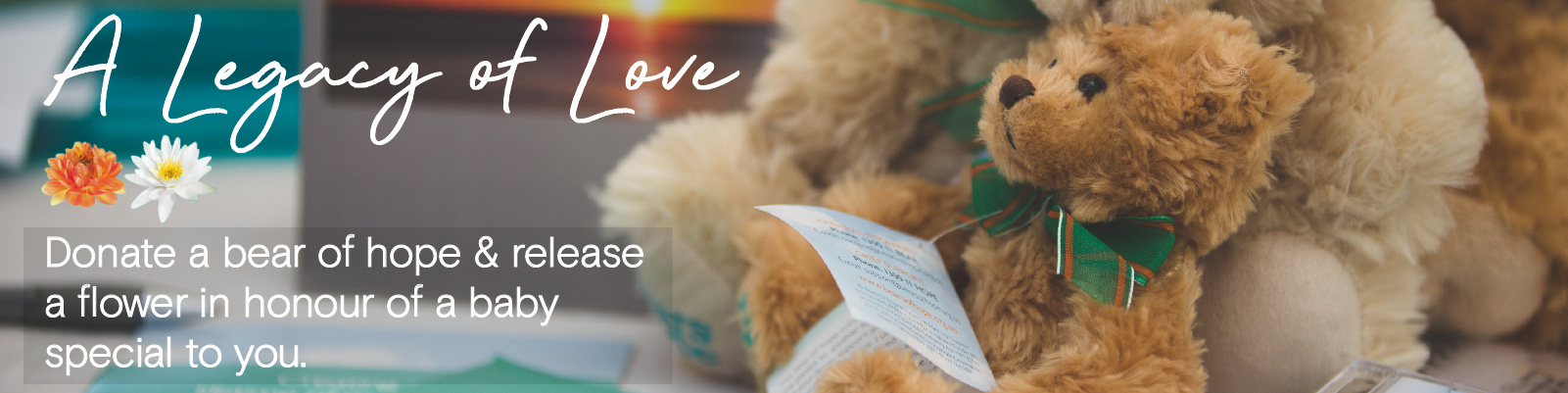 A Legacy of Love | Bears of Hope: A Legacy of Love