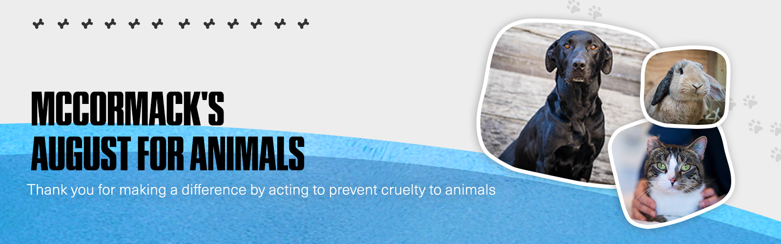 McCormack's August for Animals | HomePage