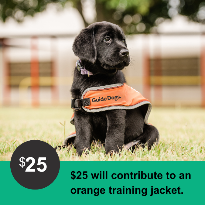 Bridge to Brisbane 2024 - Guide Dogs Queensland | Home