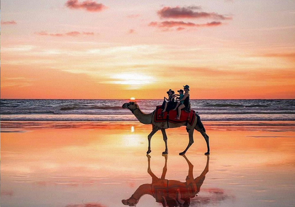 Step 4 Epilepsy WA 2025 | HomePage