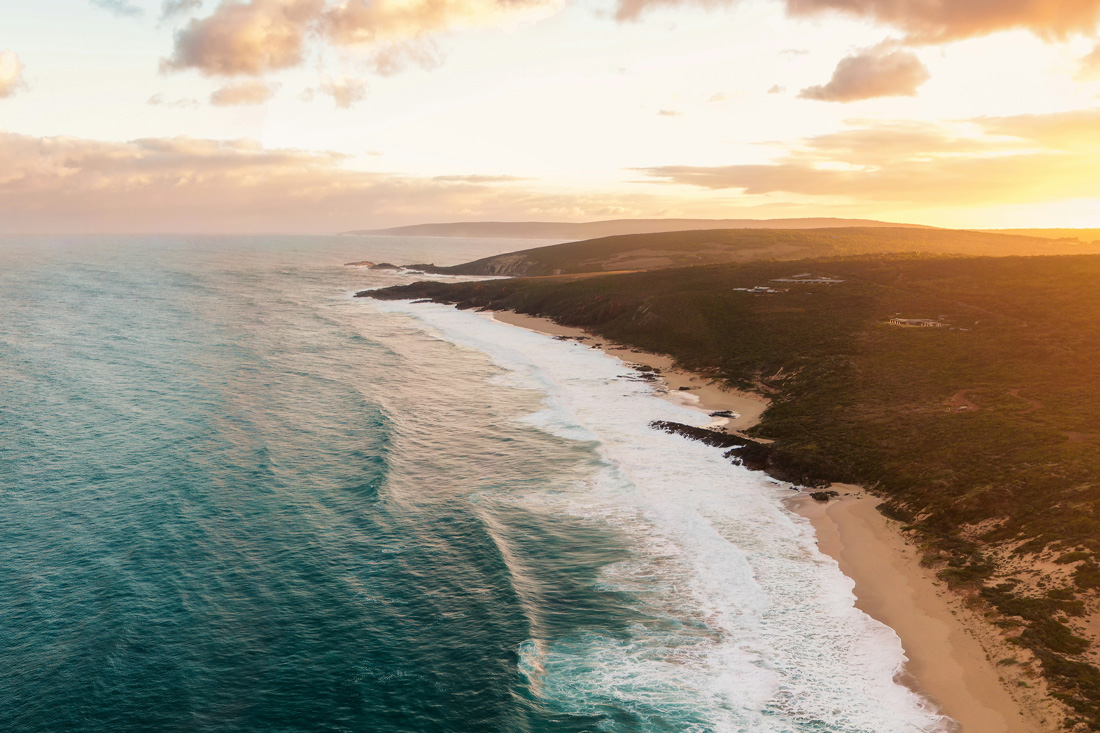 Step 4 Epilepsy WA 2025 | HomePage