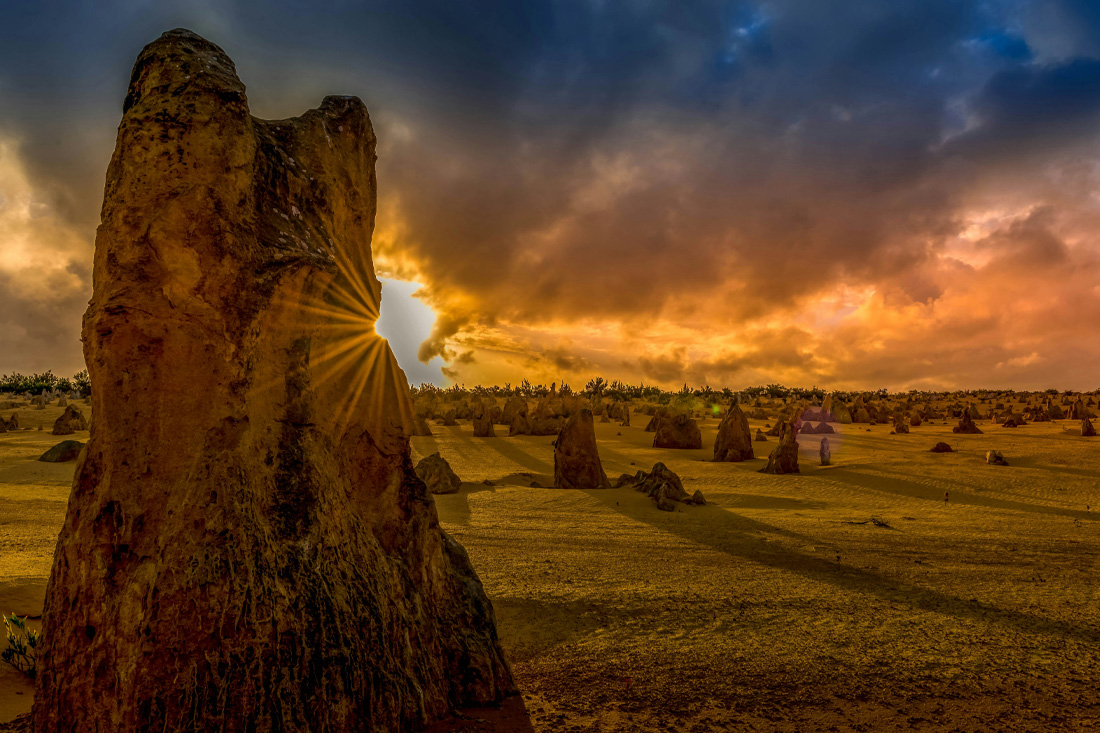 Step 4 Epilepsy WA 2025 | HomePage