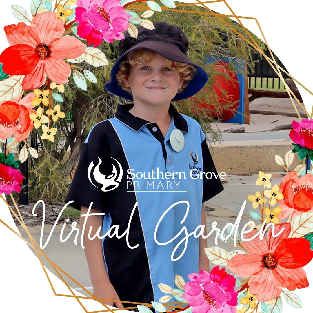65 Roses Virtual Garden 2025 | Southern Grove Primary School