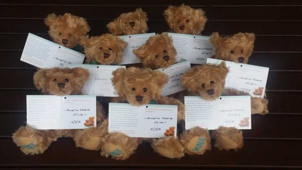 Bears Of Hope - Make a Difference | Matthew Barton