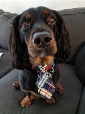 The Sunday Mail Transurban Bridge to Brisbane 2022 | Danielle Bull