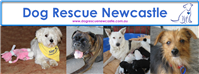 Dog Rescue Newcastle